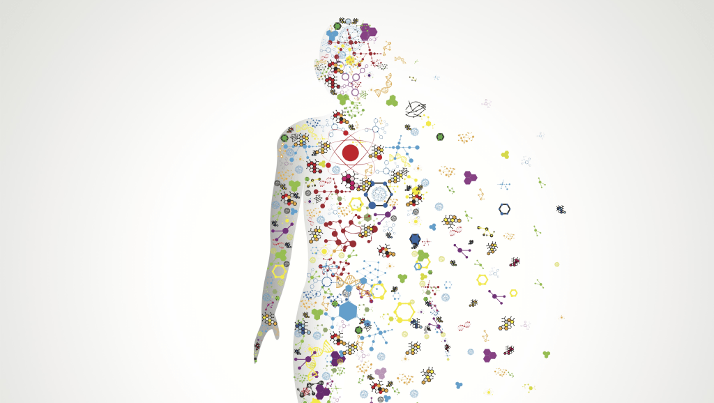 Human Health: A Comprehensive Insight into Wellness